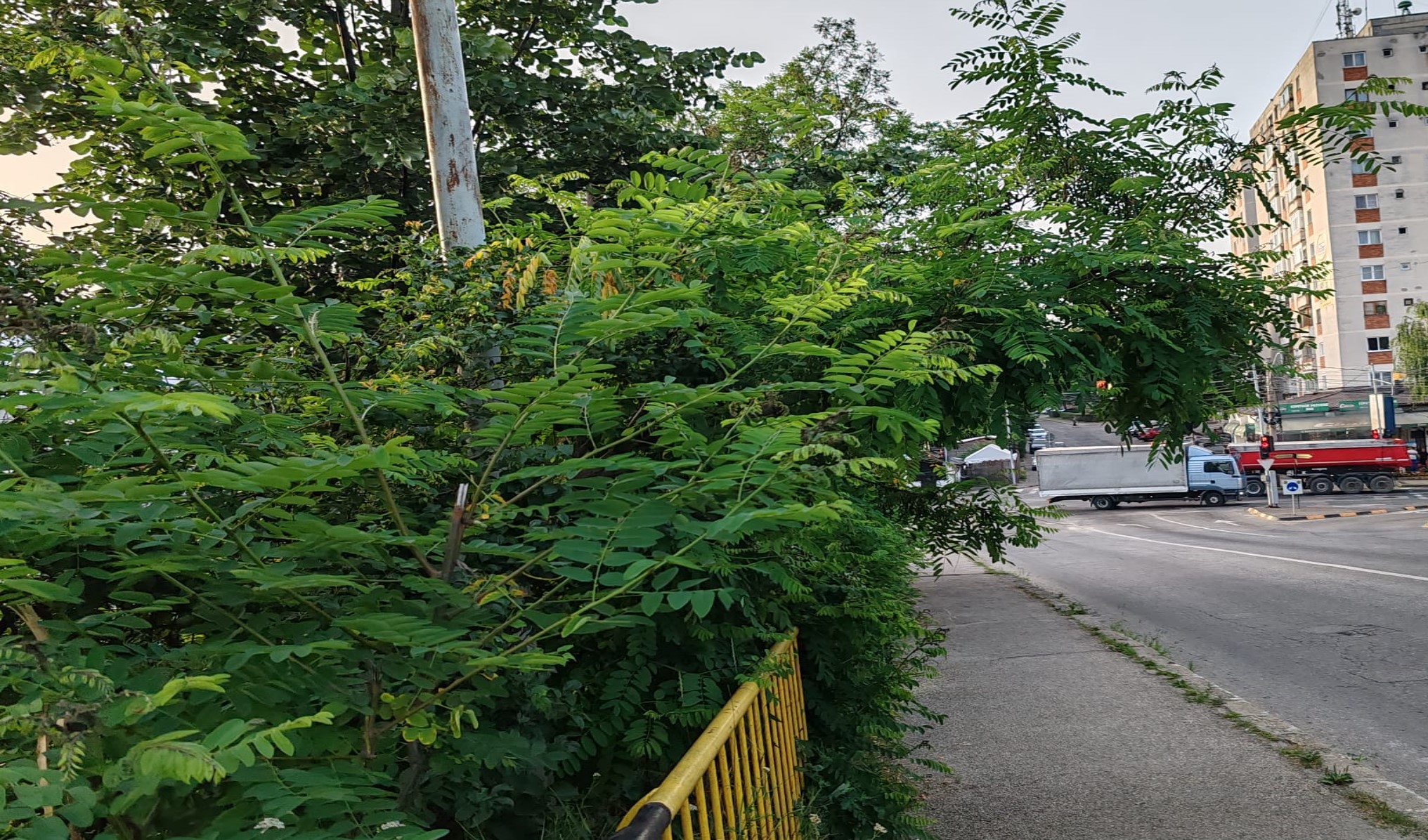 La pas pe podul de la Turn din Câmpulung Muscel. Trebuie să te arunci ...