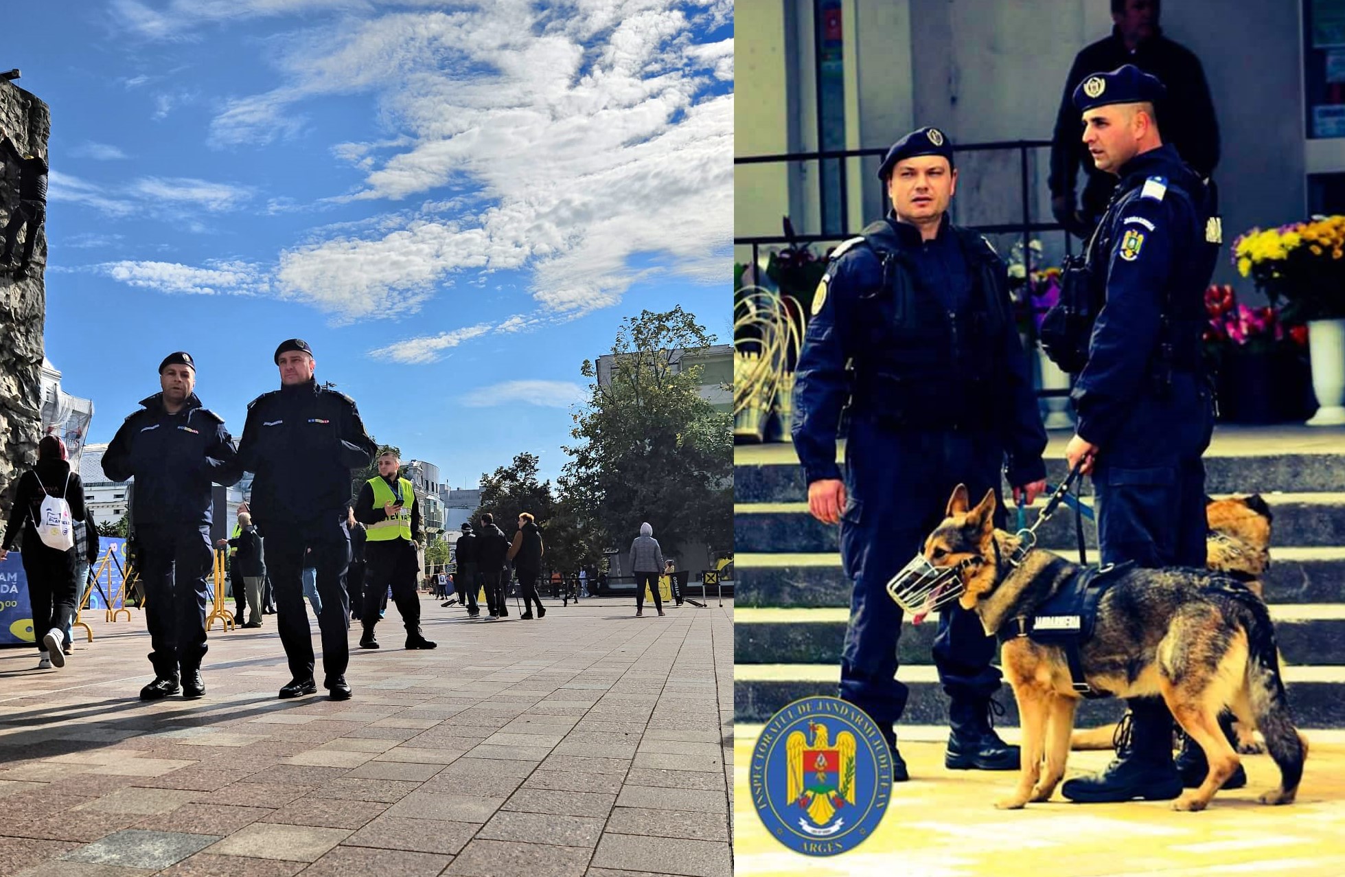 Jandarmii argeșeni, în acțiune! Amenzi de peste 13.000 de lei și ...